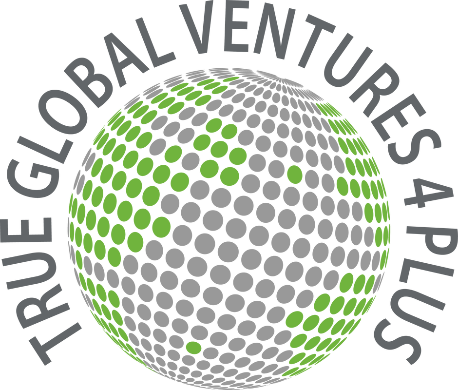 True Global Ventures - Iomob